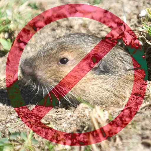 Gopher Control about our services, rates and questions